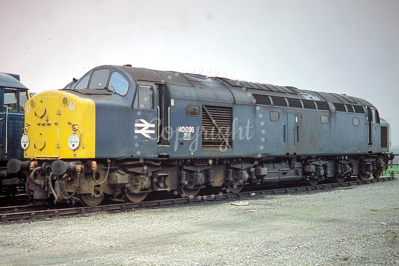 The Transport Treasury | Class 40 | GHT4416 - UK BR Class 40, 40036 at ...