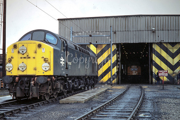 The Transport Treasury | Class 40 | GHT4459 - UK BR Class 40, 40096 at ...