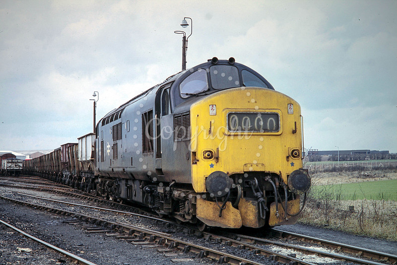 The Transport Treasury | Class 37 | GHT4379 - UK BR Class 37, 37249 at ...
