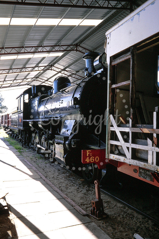 The Transport Treasury | Australia | JMT17170 - Australia WAGR Class Fs ...