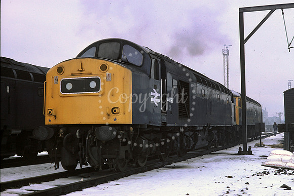 The Transport Treasury | Class 40 | 40191 British Rail Diesel ...