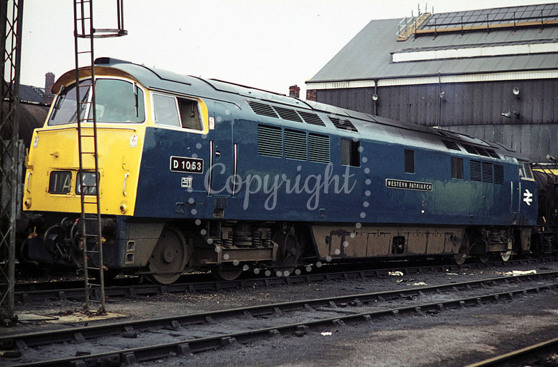 The Transport Treasury | Class 52 Western | GHT5515 - UK BR Class 52 ...